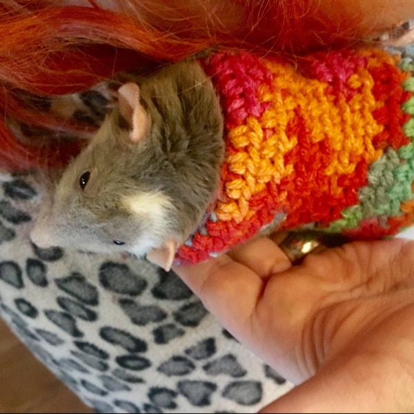 Crocheted Rat Sweater | Custom Acrylic Pet Clothing - Etsy