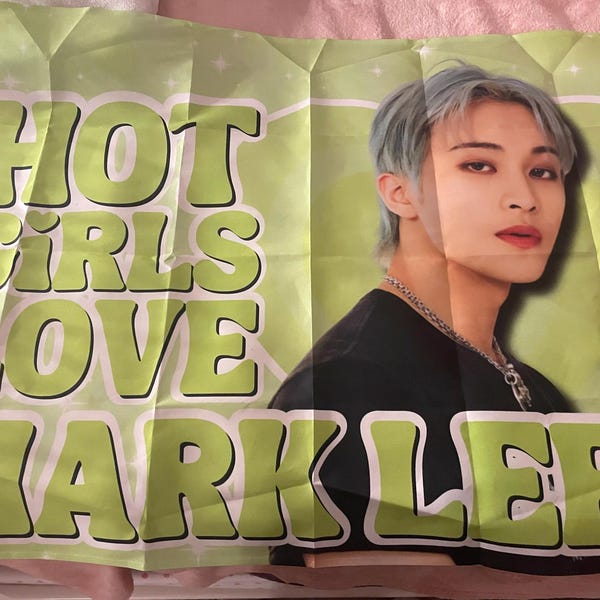 SKZ Felix Hot Girls Concert Banner, Stray Kids Members Kpop Flag, Skz ...