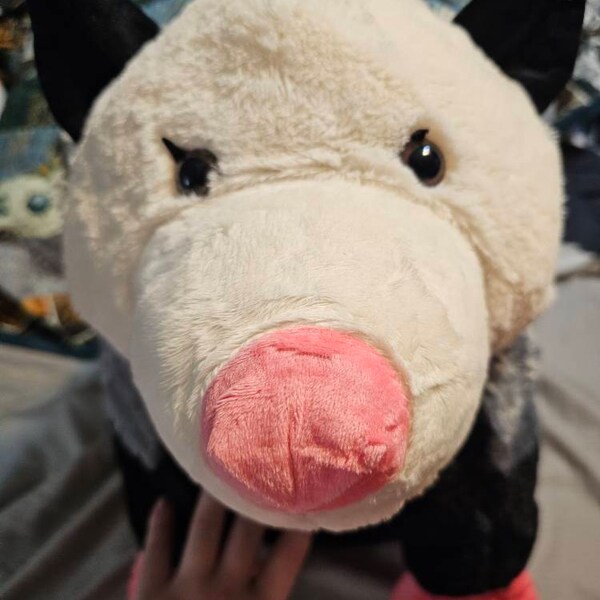 Handstuffed Whale Shark Plushies Ecofriendly Recycled Polyfill Stuffed ...