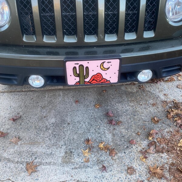 Retro License Plate, Desert Vanity License Plate, Cute License Plate - Etsy