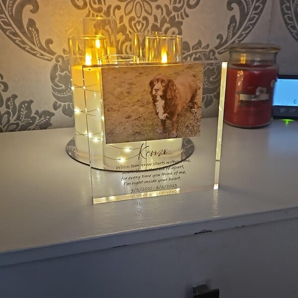 Custom Trophy Award Plaque Personalised Achievement Award for Work ...