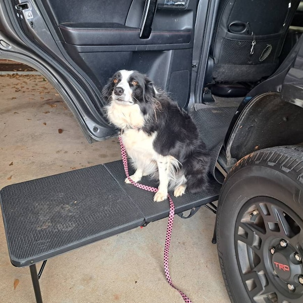Original 4 Paws Portable Folding Dog Platform – Car SUV Pet Step, Joint ...