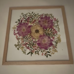 Pressed Tulip Flower Frame Real Tulip Artwork. - Etsy