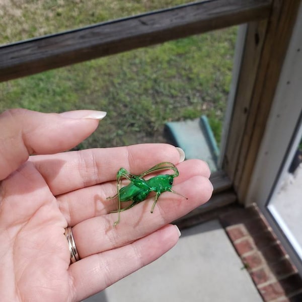 Grasshopper Glass Miniature, Migratory Locust Animals Glass, Hand Blown ...
