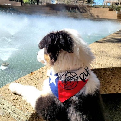 Texas Flag Dog Bandana Personalized Dog Bandana Tie on - Etsy