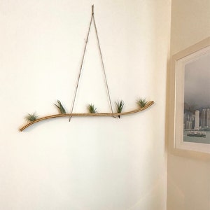 Wall Mount Diamond Planter With Saucer Geometric Wall | Etsy