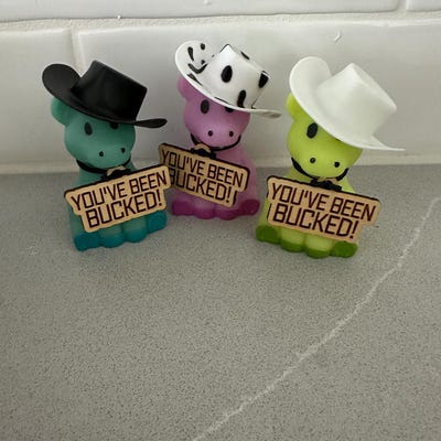 Buck Buck Bronco Ducks Horse Duck Tag for Bronco Rubber Ducks Youve ...