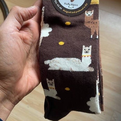 Cactus Socks From MANY MORNINGS, Women's Socks, Men's Socks, Mismatched ...