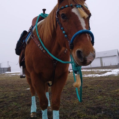 Handmade Bosal Set, 40 Plaits Rawhide Natural Bosal Set, Bosal Set ...