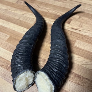 Alien Demon Horns - Etsy