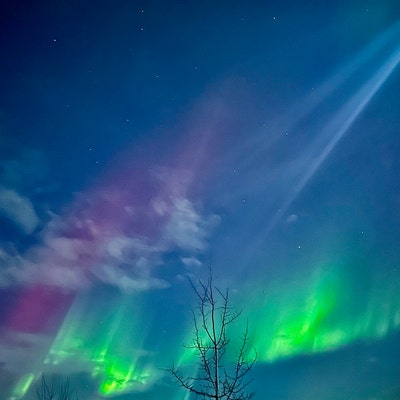 Neuro Flowers, Rainbow Brain, Autism Art, Inclusion Digital Download ...