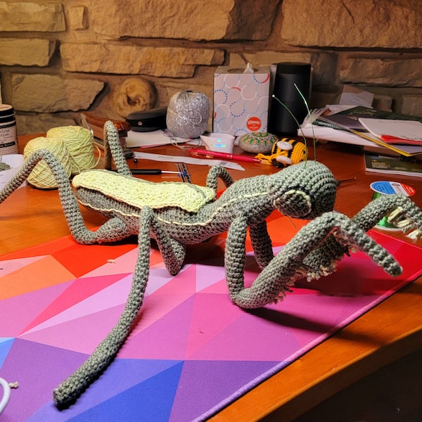 Praying Mantis Crochet Pattern - Etsy