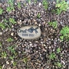 FISH MEMORIAL STONE 9”/10” or 7”/8"or 5”/6" Approx Size. Personalized ...