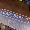 Capybara, Capybara Gift, Capybara Sign, Capybara Decor, Capybara Expert ...