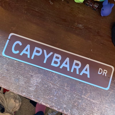 Capybara, Capybara Gift, Capybara Sign, Capybara Decor, Capybara Expert ...