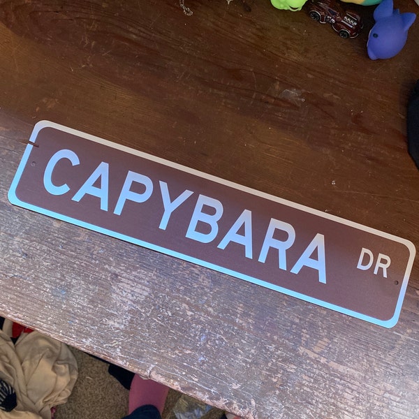 Capybara, Capybara Gift, Capybara Sign, Capybara Decor, Capybara Expert ...