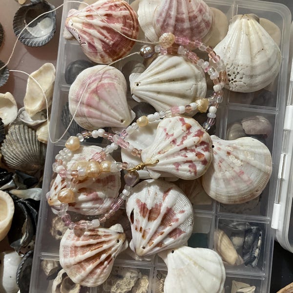 Natural Scallop Shell Pendant, Gold Edge Loop, Seashell Pendant ...