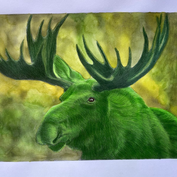 Detailed Animal Sketches 2. A Coloring Collection by Tim Jeffs - Etsy