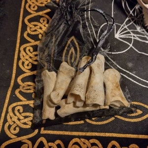 11 Deer Knuckle Toe Bones - Etsy