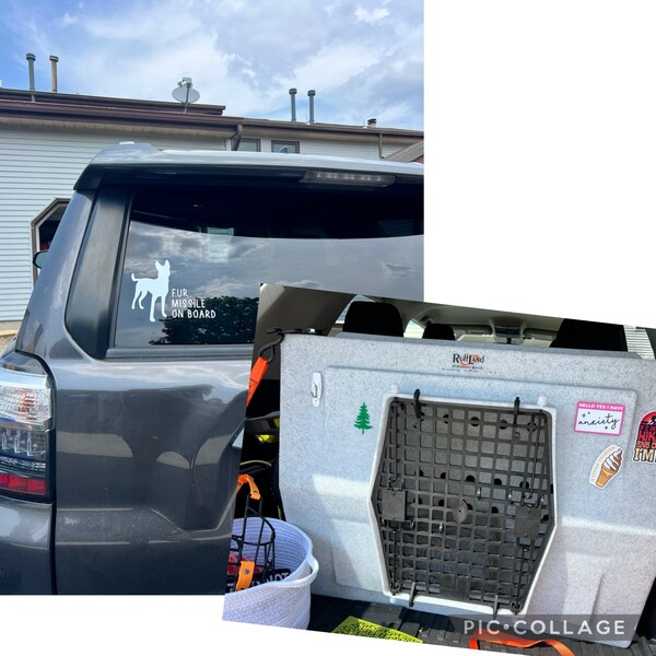 Belgian Malinois Fur Missile Decal, Belgian Shepherd Bumper Sticker ...