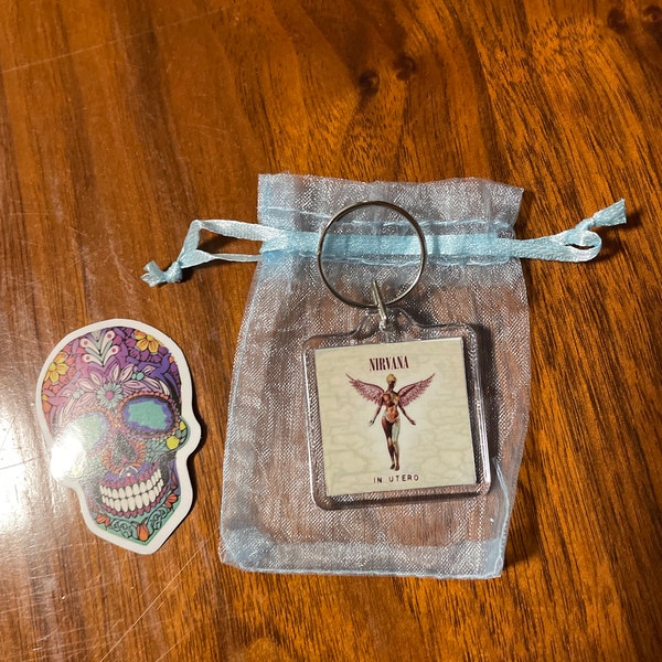 Nirvana in Utero CD Album Cover Keychain - Etsy