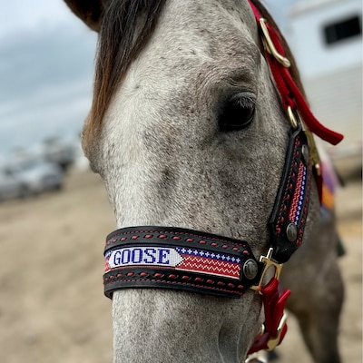 Custom Horse Halter - Etsy