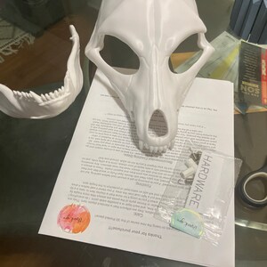 Raven Bird Skull Corvus Bone Skull Mask Movable Moving Hinge Jaw 3D ...