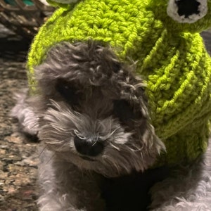 Crochet Puffy Toad Mushroom Bucket Hat - Etsy