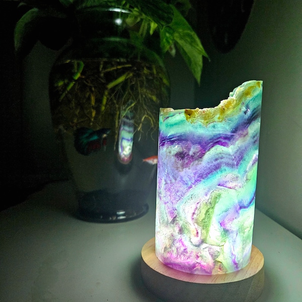 Awesome Jasper T-rex Skull, With the Coolest Patterns! - Etsy