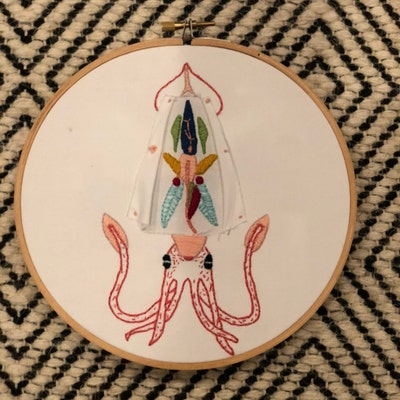 Squid Dissection Kits - Etsy