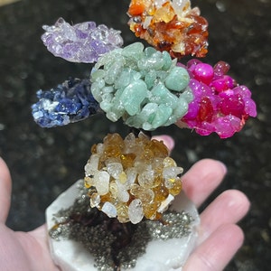 Wooden Shell Tripod Display Stand Hand Carved Base for - Etsy