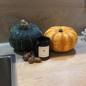 Dried Conkers Conkers in Shells dried Natural Conkers | Etsy