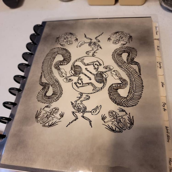 D&D Monster NPC Stat Cards | Printable Fillable PDF| Dungeons and ...