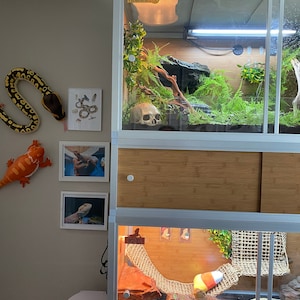 Ball Python Custom Name Plaque - Etsy