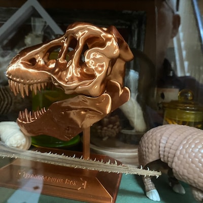 Dinosaur Model Kit Cards T-REX Jurassic World 3D Printed - Etsy