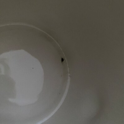 NCT Dream Shirt, NCT Dream T-shirt 100% Cotton, NCT Candy Stage Outfit ...