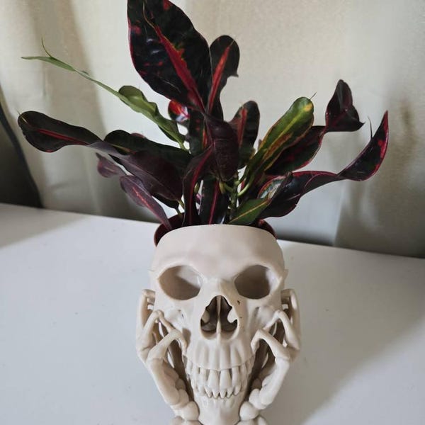 Happy Skull Horror Planter - Unique Plant Pot, Witchy/goth Decor ...