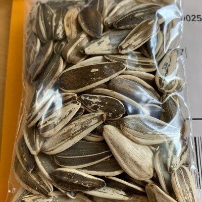 Ground Cherry Giant Poha Berry Seeds Physalis Peruviana - Etsy