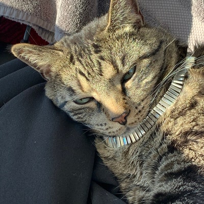 SALE How Adorable Enameled and Jeweled Frog Trinket or Pill Box From ...