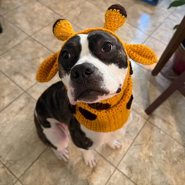 Ghost Puppy Crochet Pattern-halloween Ghost Dog Pattern-crochet Animals ...