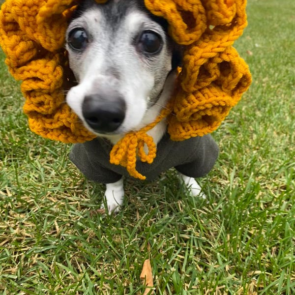 Santa Ruffle Dog Hat Crochet PATTERN - Etsy