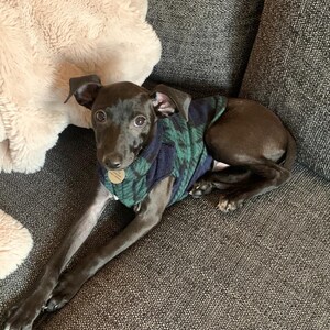 MADE TO ORDER Puppy Italian greyhound clothing fleece vest. | Etsy