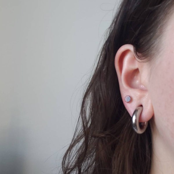 2g 4g 6g 8g Hinged Clicker Segment Ring Hoop Earring Ear Black Gold ...