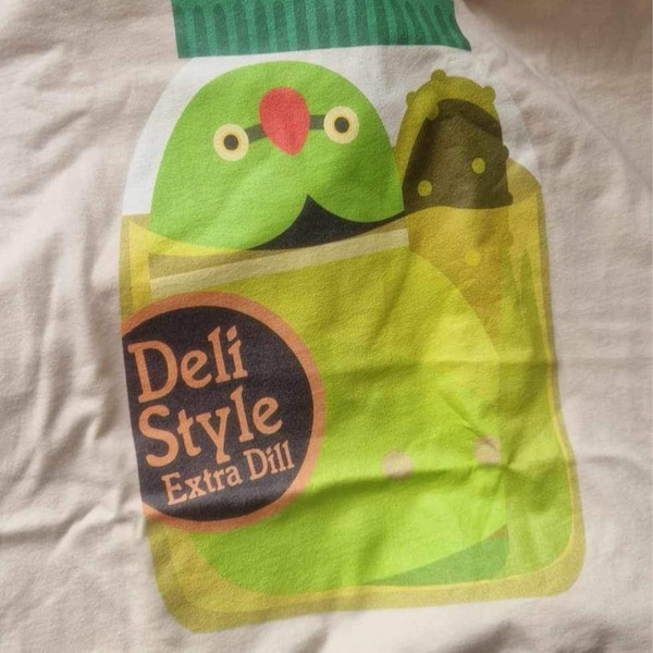 8-bit Birbs Poster - Etsy