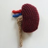 Kidneys Crochet Pattern, Kidney Crochet Pattern, Kidney Amigurumi ...