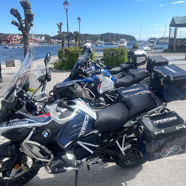 3D Resin Stickers Engine Guards Compatible With Kawasaki Ninja 1000 SX ...