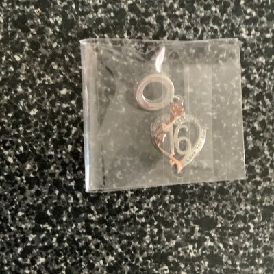 60th Birthday Charm Pandora Fitting 925 Sterling Silver & Rose Gold ...