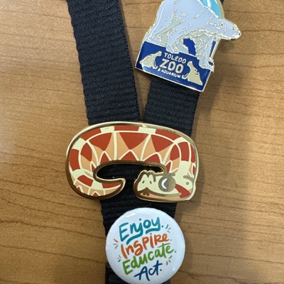 Lovable Lizard Enamel Pins - Etsy