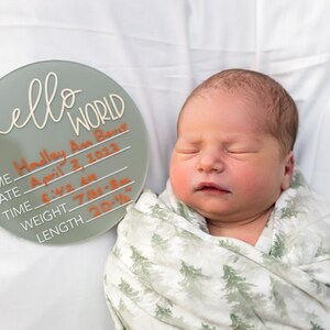 Hello World Baby Stat Sign, Acrylic Baby Birth Announcement, Hello ...