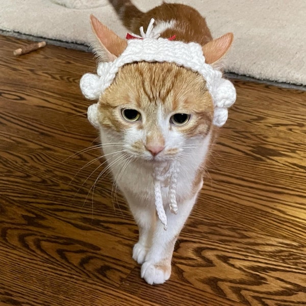 Powdered Wig, Hats for Cats, Barristers Wig, Judge Wig, Pet Costumes ...